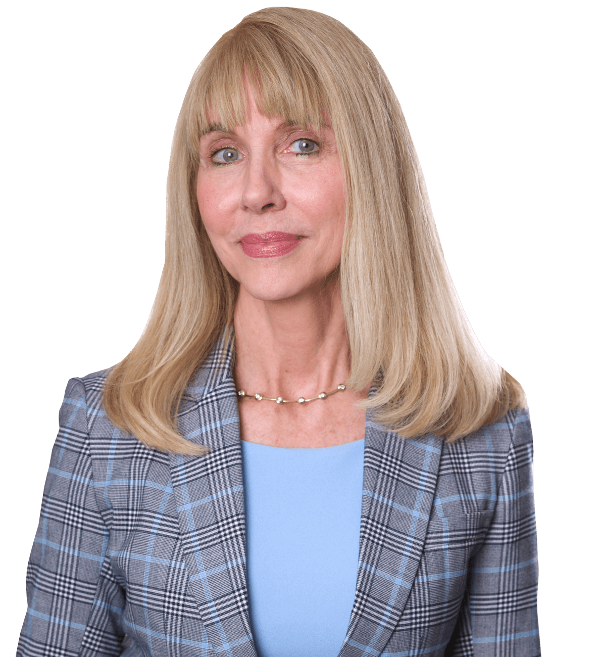 Michele F. Vaillant | McCarter & English, LLP