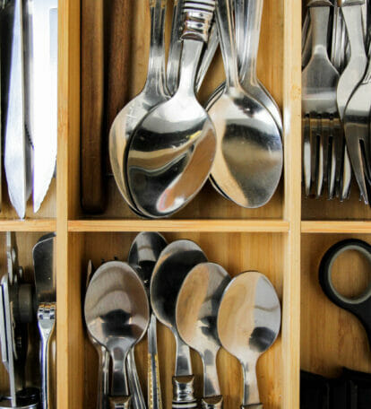 Setting the Table: The Department of Homeland Security’s Rules on ...